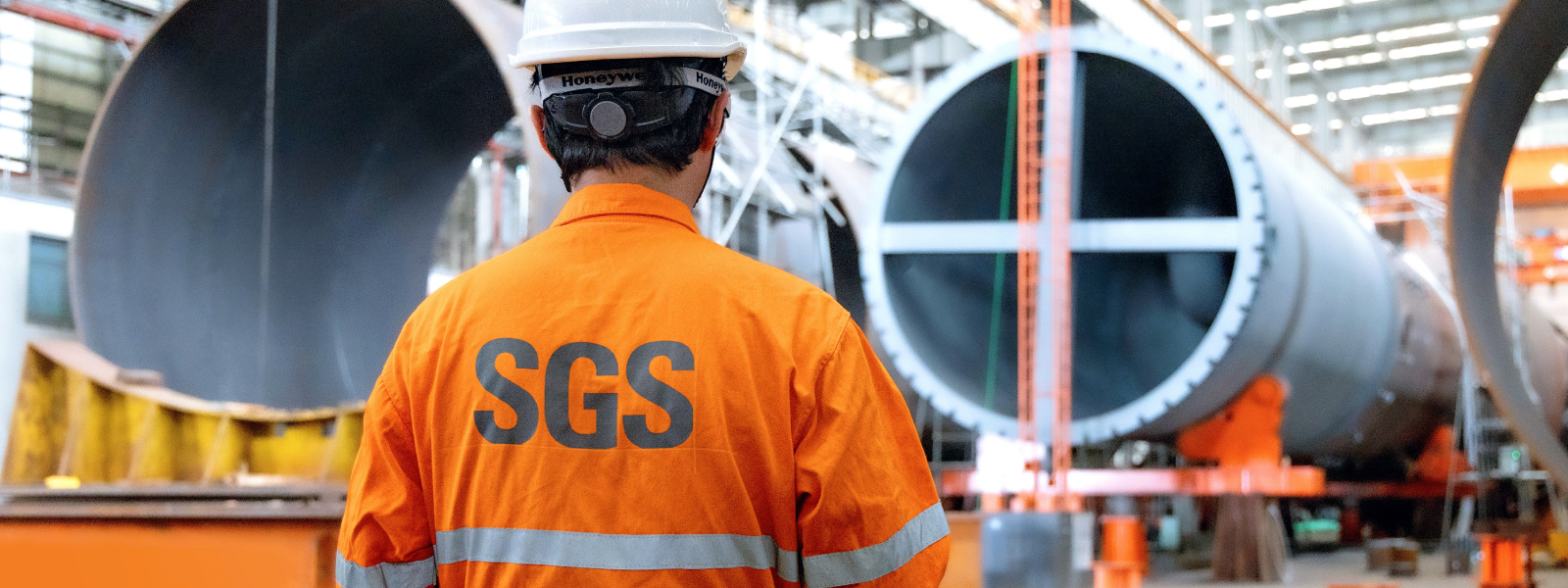 关于 SGS | SGS China