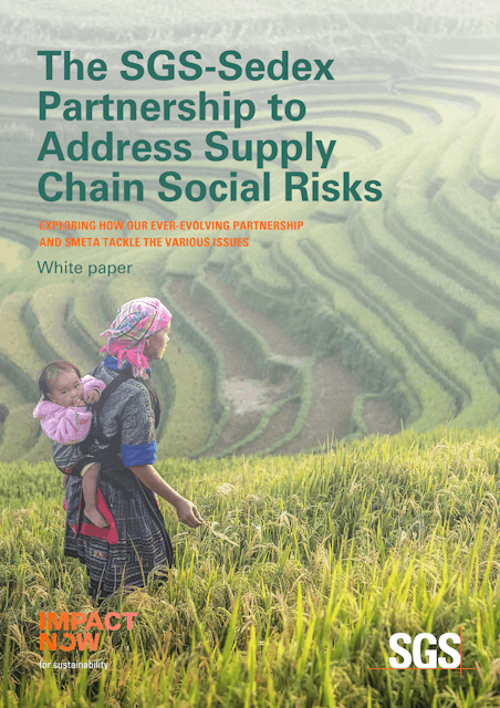 The SGS-Sedex Partnership to Address Supply Chain Social Risks | SGS China