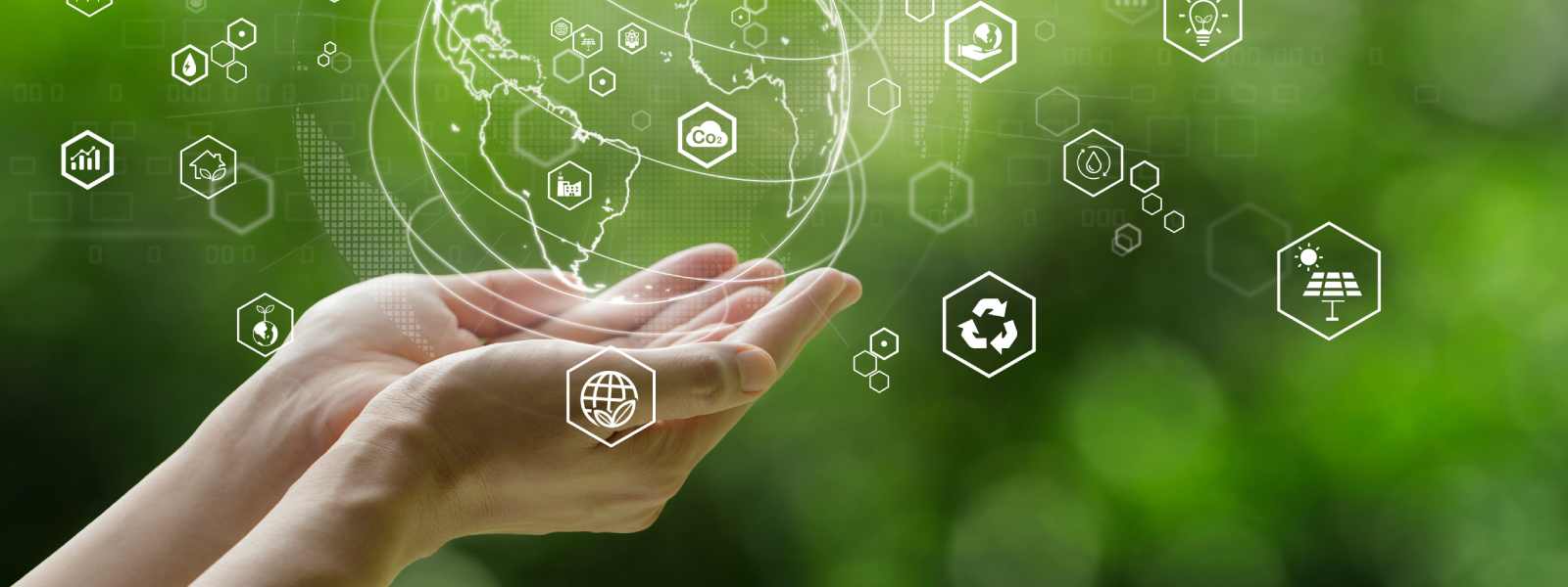 重磅 | SGS全新推出ESG价值链尽职调查服务